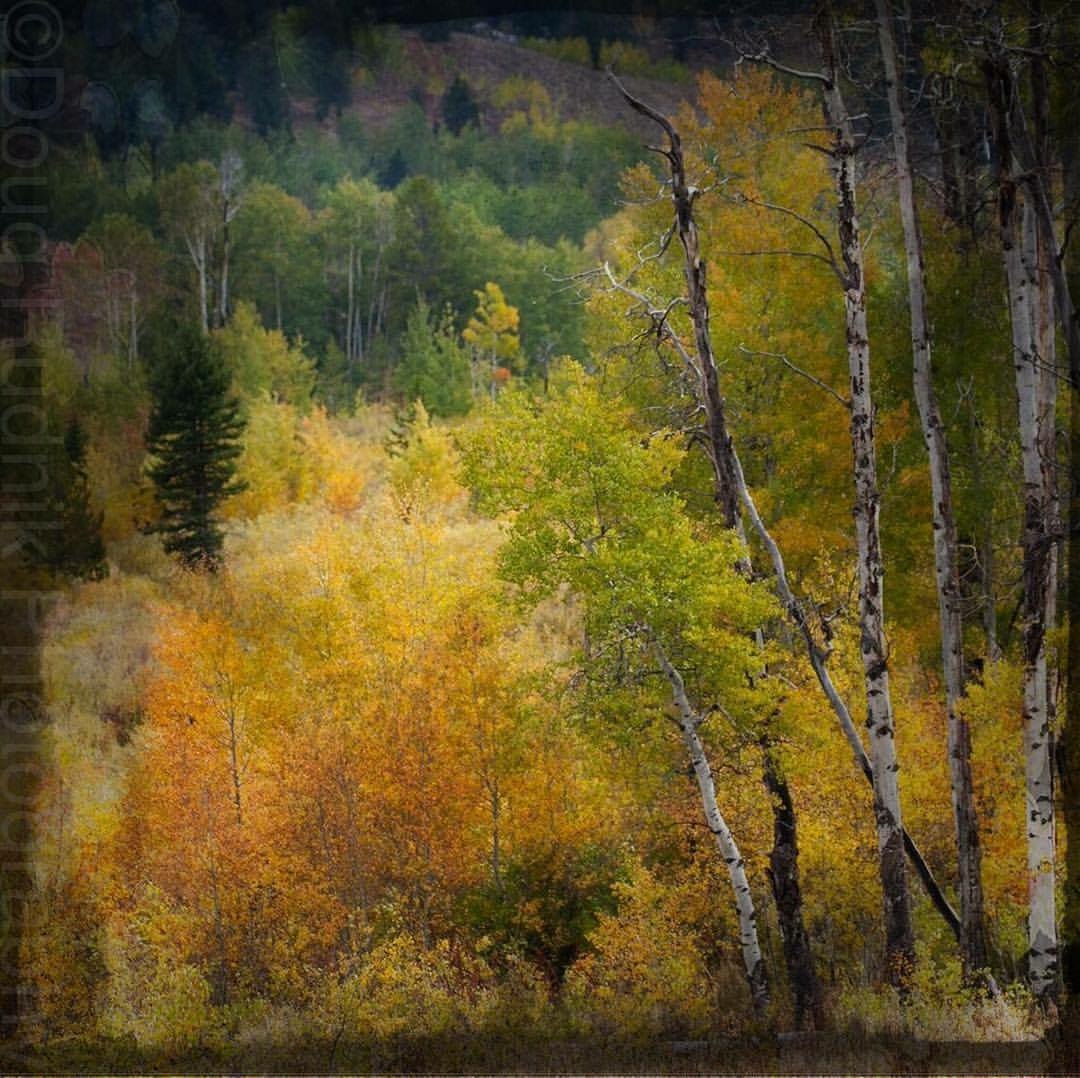 Finding Fall - dougrudnik.com